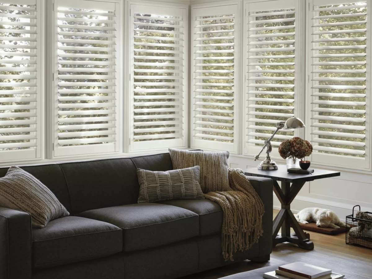 How Hunter Douglas Shutters Can Transform Your Space | Desert Window Wear
